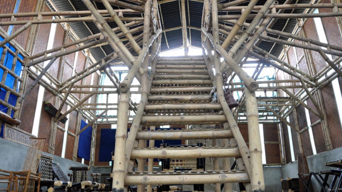 Climbing the bamboo steps - The Hindu