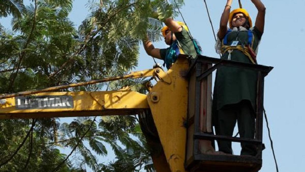 Lineman electrocuted - The Hindu