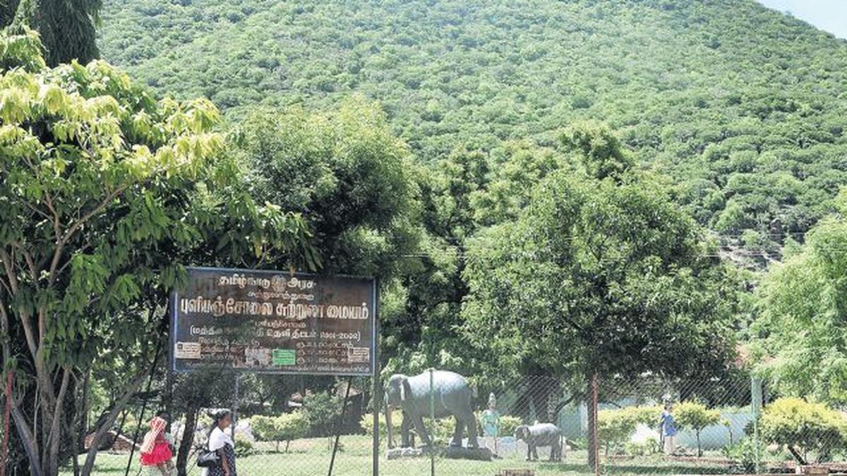 Puliyancholai: A trekker's paradise neglected - The Hindu