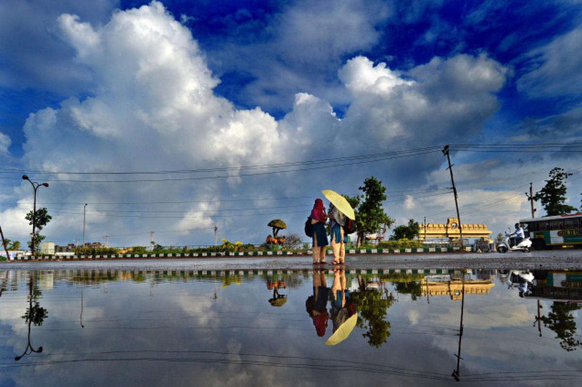 Shades of monsoon - The Hindu