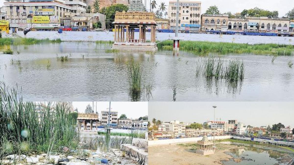 Holy pond turns into a cesspool - The Hindu