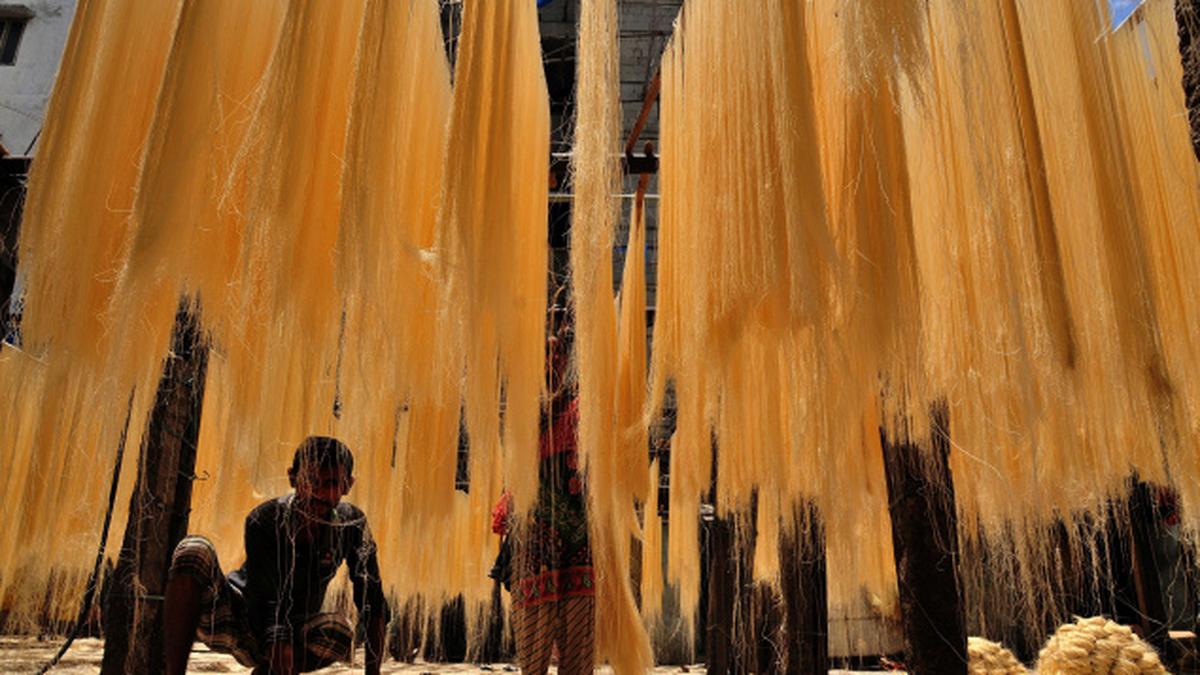 ‘Seviyah’ continues to be in demand - The Hindu