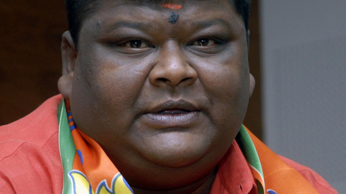 Small screen actors try big political entry - The Hindu