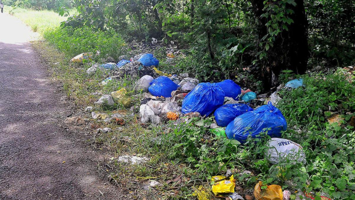 Tourism hot spots turn stinking waste dumps - The Hindu