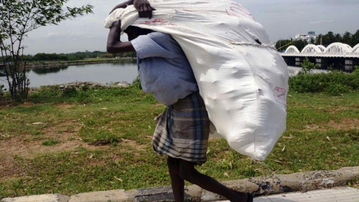 Now, a National Award for rag pickers - The Hindu