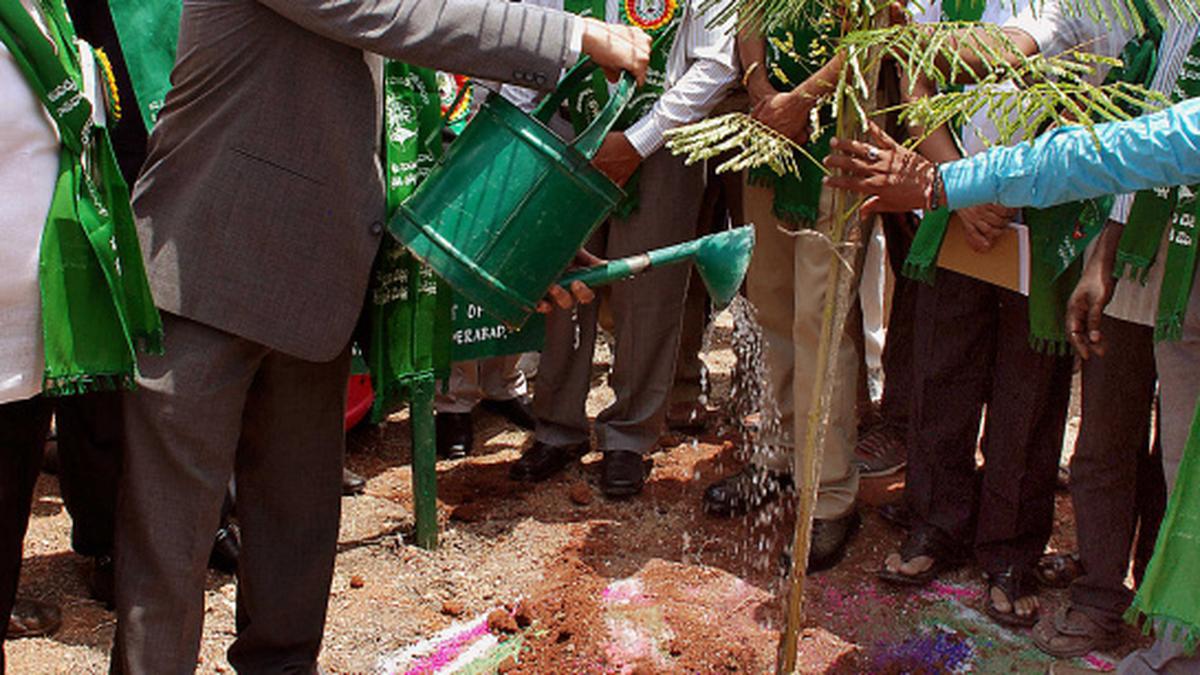 “Haritha Haram is people’s movement” - The Hindu