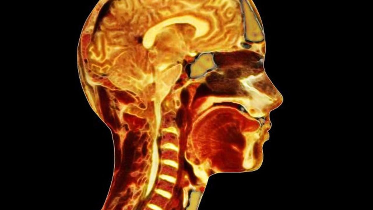 Science for All | Scientists discover a fourth layer surrounding the ...