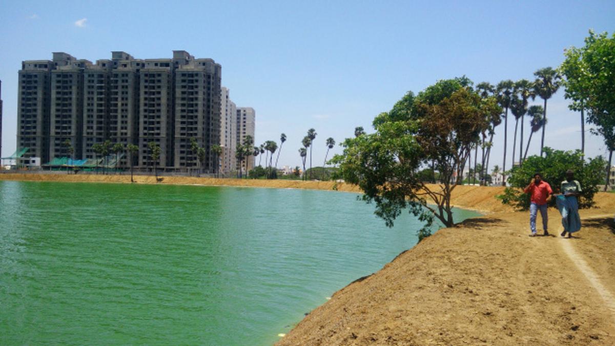 Sparkling prospects - The Hindu