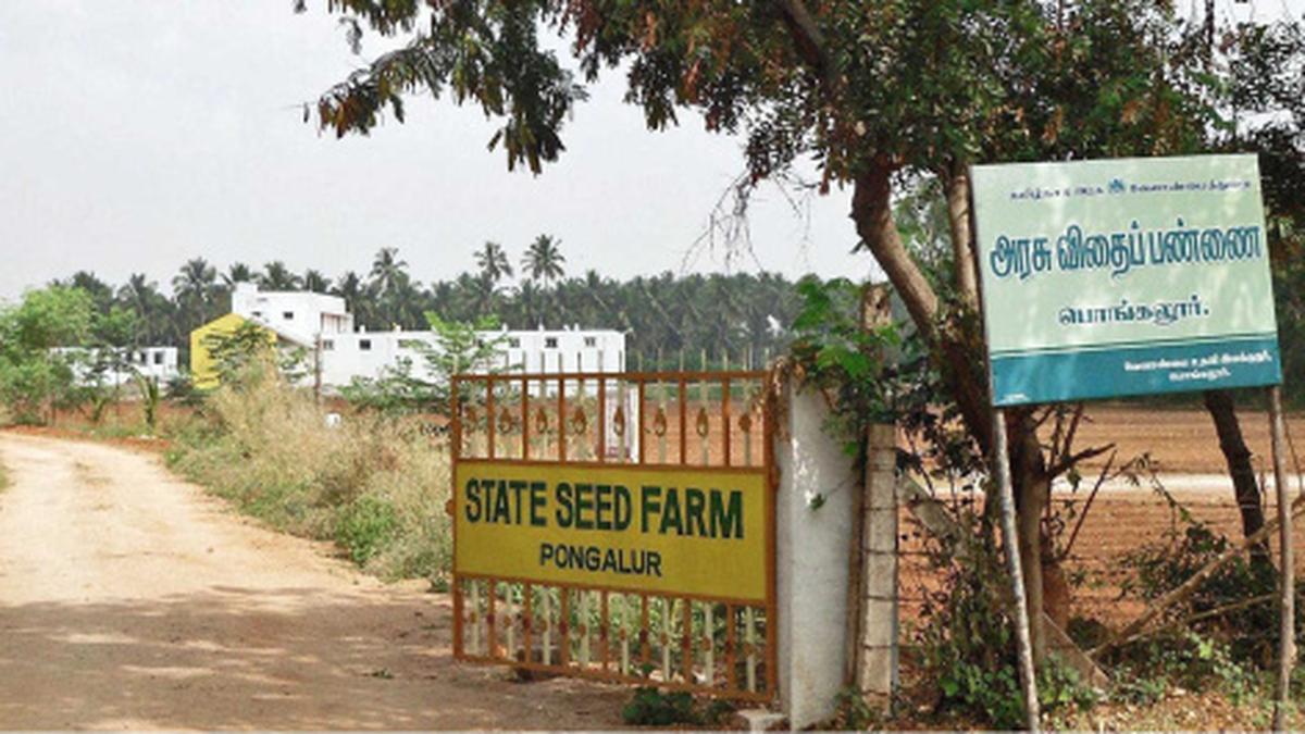State seed farm at Pongalur gets new status - The Hindu