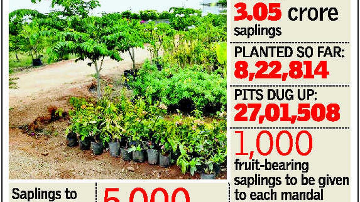Haritha Haram to be intensified - The Hindu
