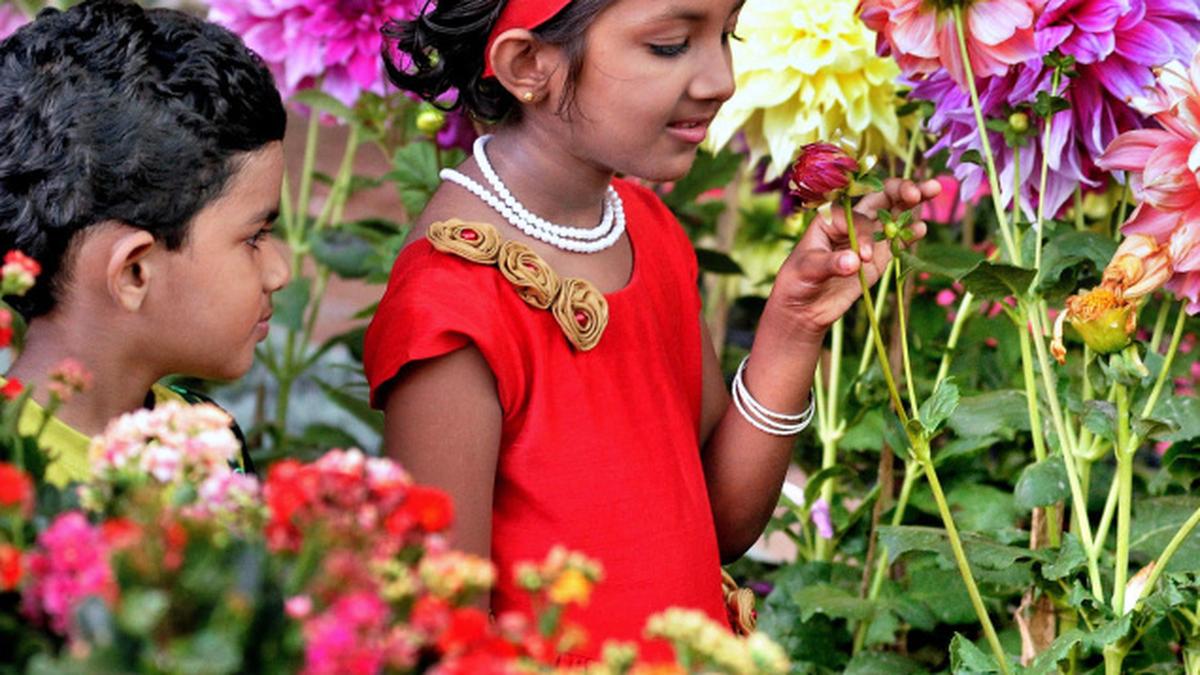 Calicut Flower Show is a huge draw - The Hindu
