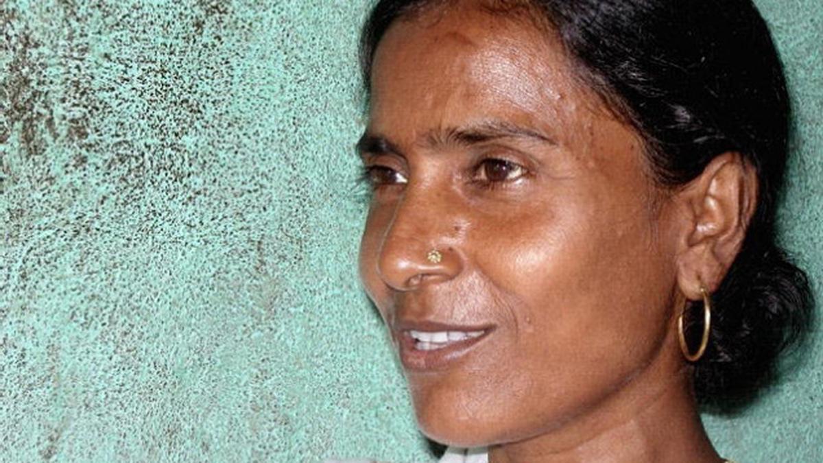 The Other Half: Wisdom beyond schooling - The Hindu