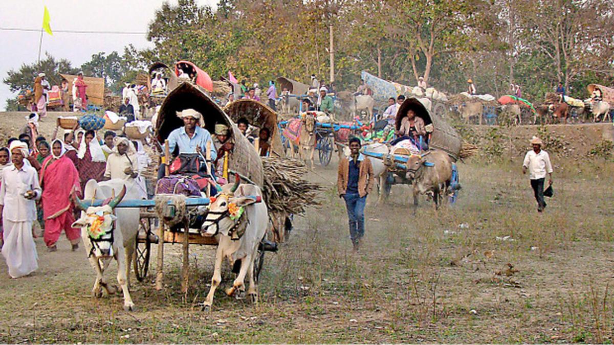 The legend of Nagoba - The Hindu