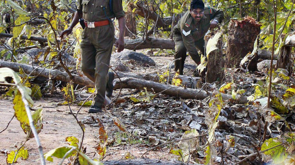Villagers fell 700 trees in Forest Minister’s district - The Hindu