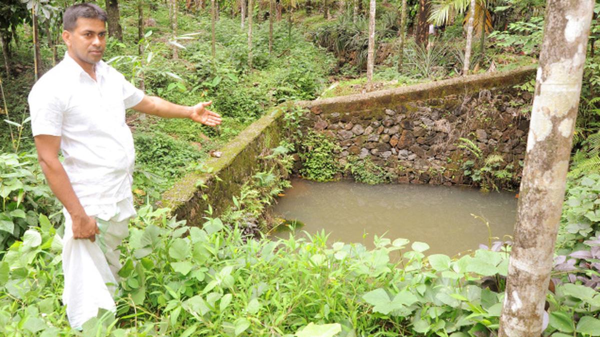 Diversified farming ensures sustainable income - The Hindu