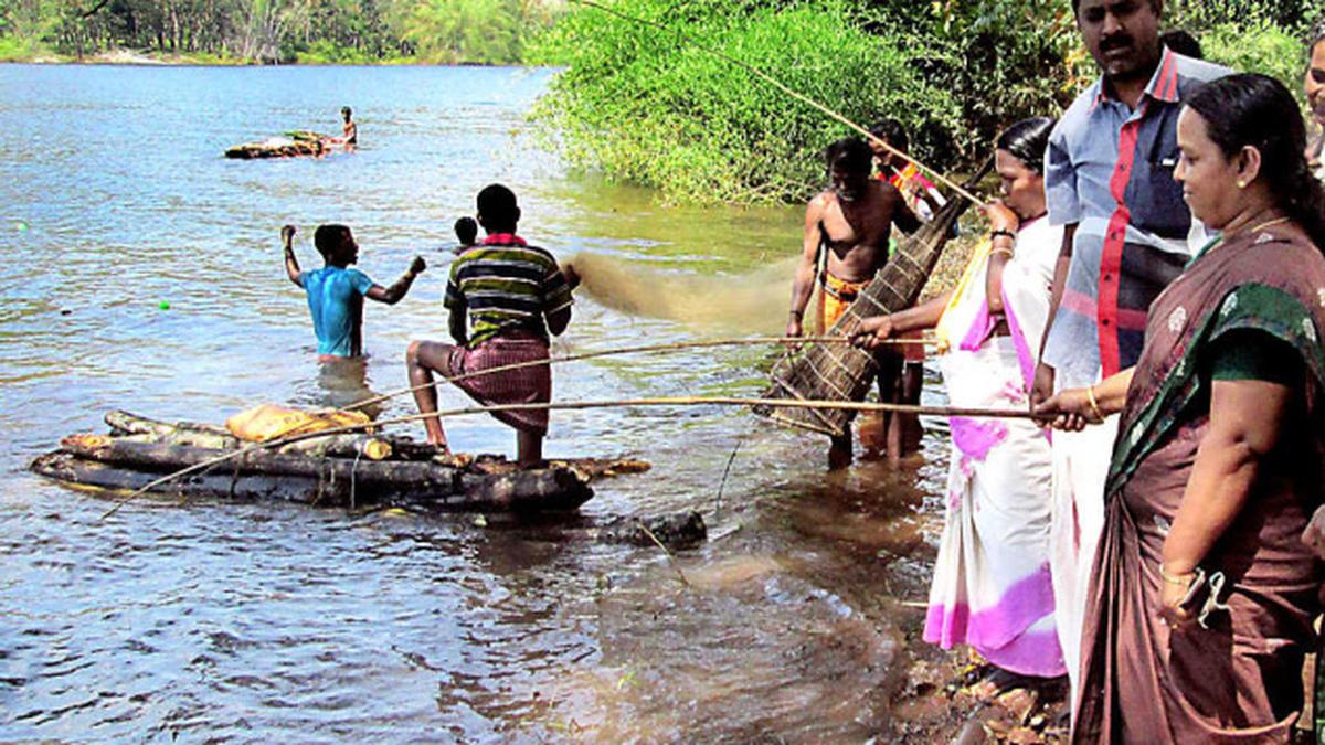 Kani tribals fish in dams to establish their right - The Hindu