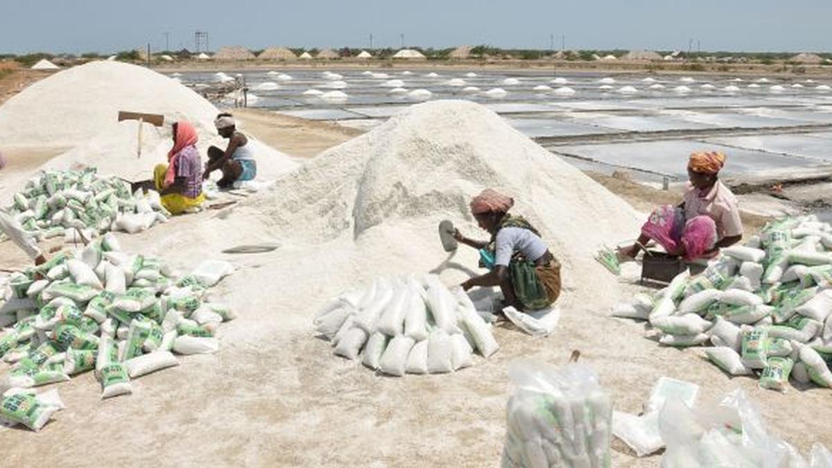 Annual salt production commences in Vedaranyam - The Hindu