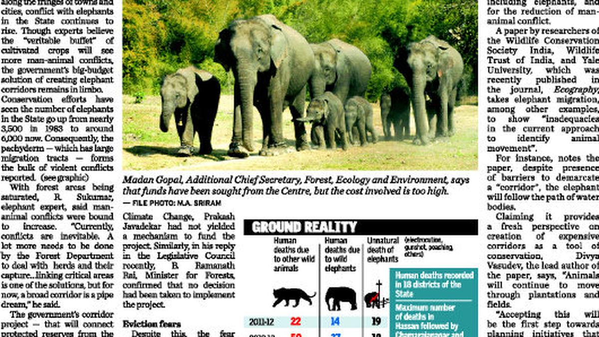 Creation of elephant corridors in limbo - The Hindu