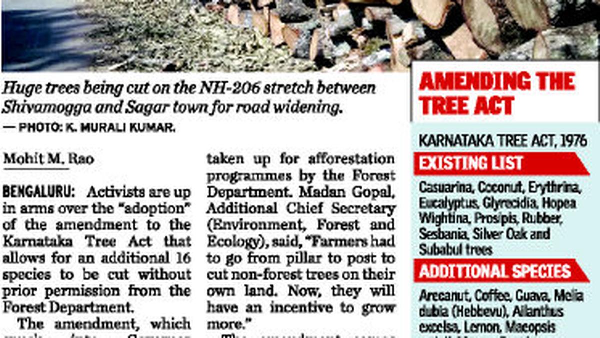 Environmentalists up in arms over amendment to Tree Act - The Hindu