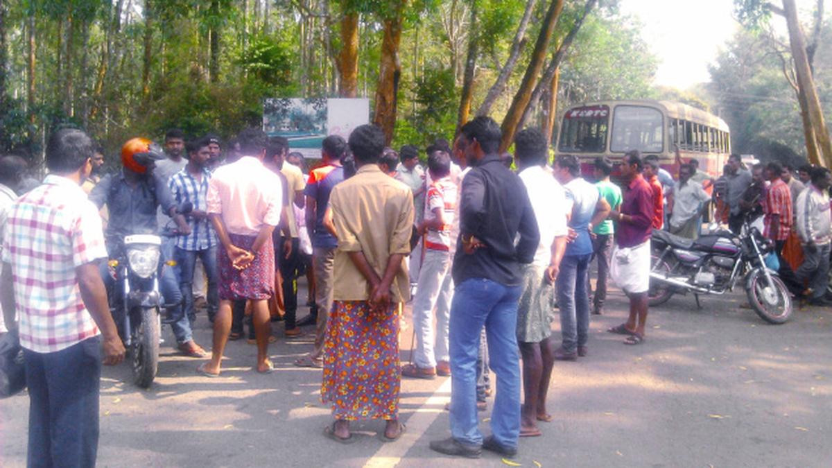 Woman killed in tiger attack in Wayanad - The Hindu