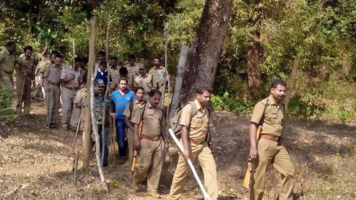 Efforts continue to capture tiger - The Hindu