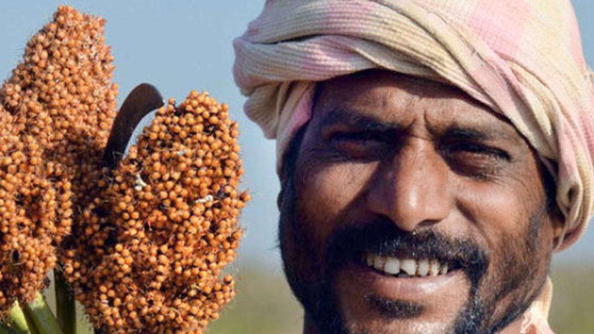 Millet mela starts today - The Hindu