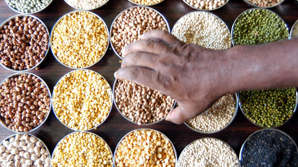 More than just dal-roti - The Hindu