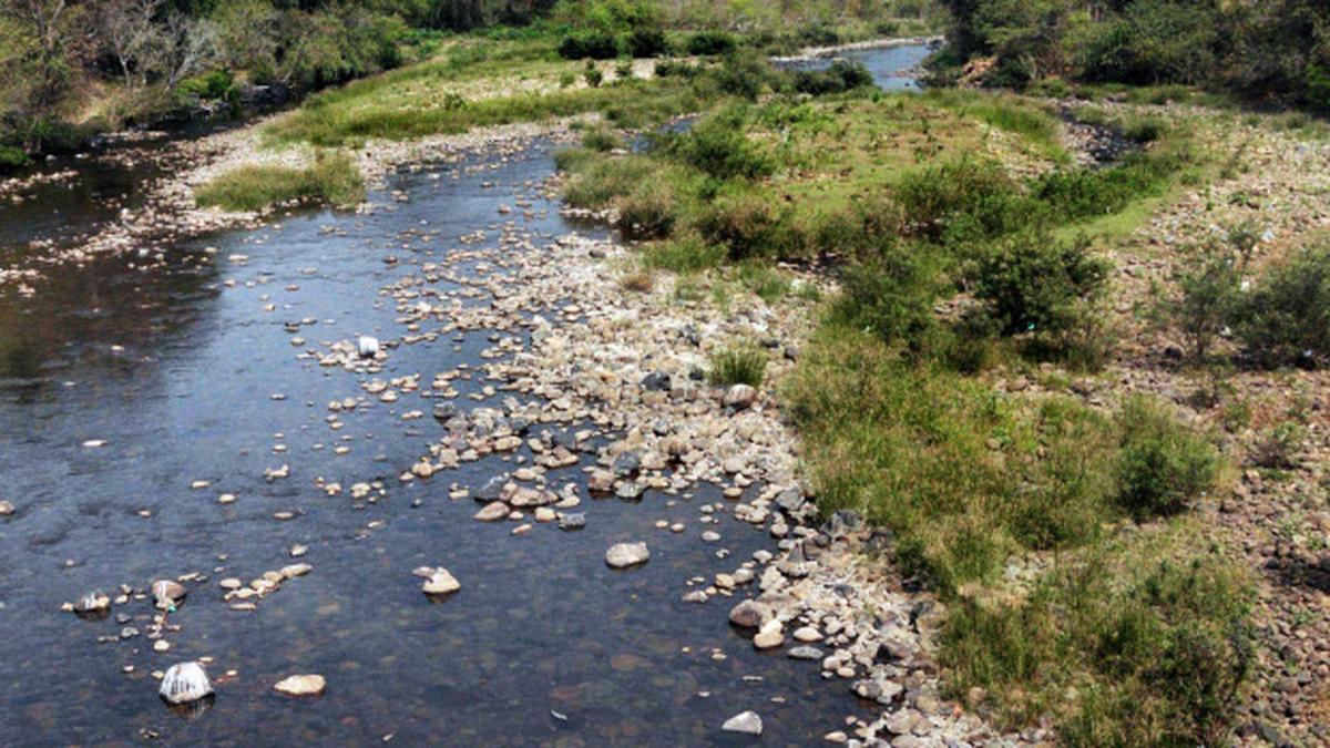 Bhavani river reduced to almost a trickle - The Hindu