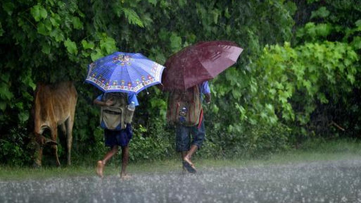 Monsoon fluctuated during ice age: study - The Hindu