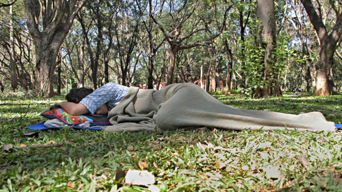 Take a nap in the park, ladies - The Hindu