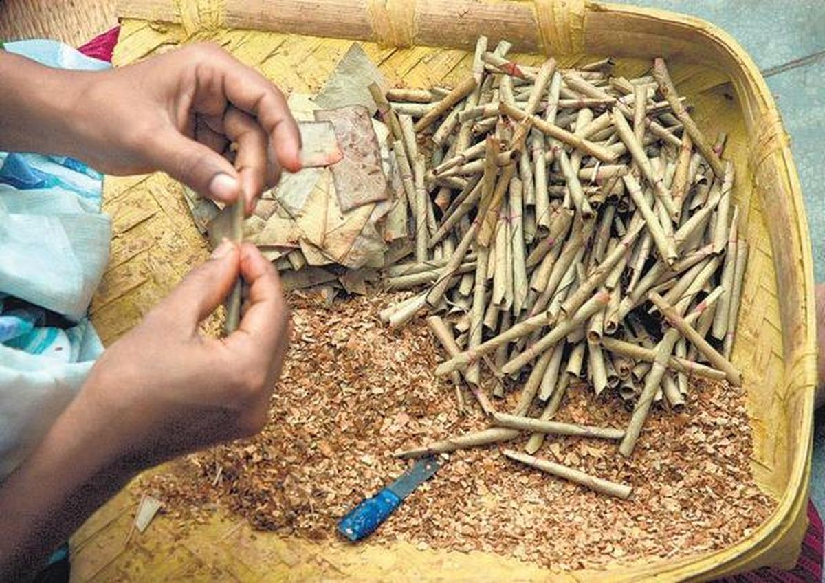 Do not kill beedi industry, PM urged - The Hindu