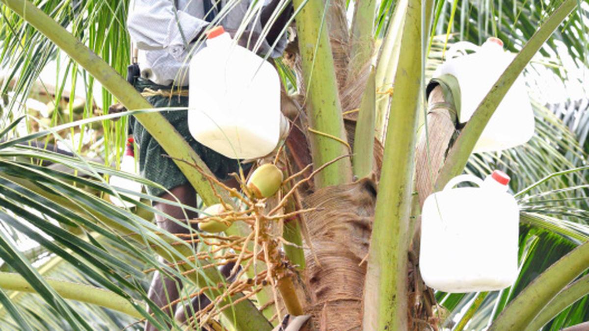 Neera taps into organic trend - The Hindu