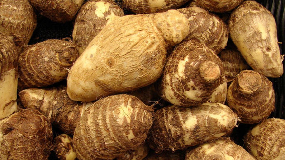 Ornamental and yummy too - The Hindu