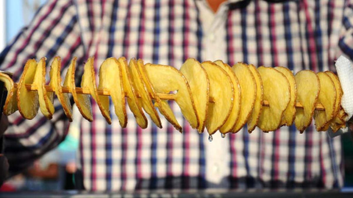 Potato ‘springs’ to life - The Hindu