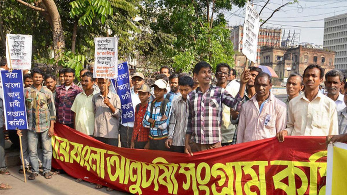 Another potato farmer commits suicide - The Hindu