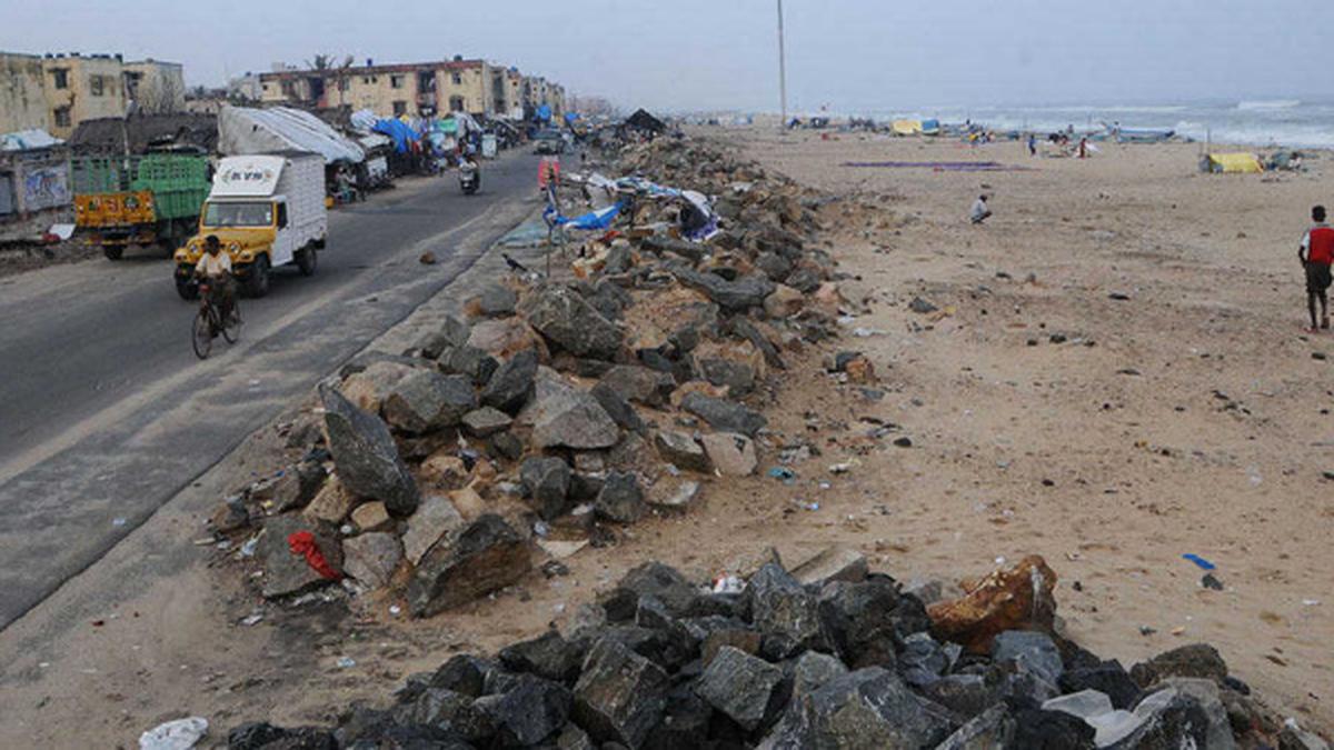 NGT orders inspection of Marina Loop Road - The Hindu