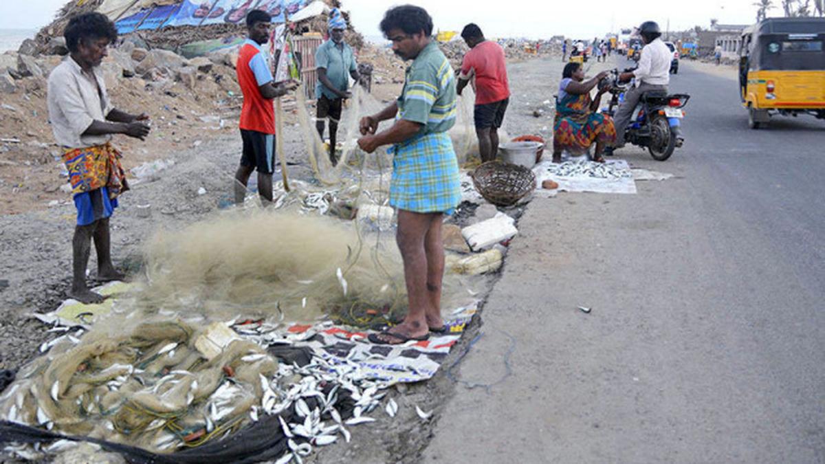 Dispute over Marina Loop Road continues - The Hindu