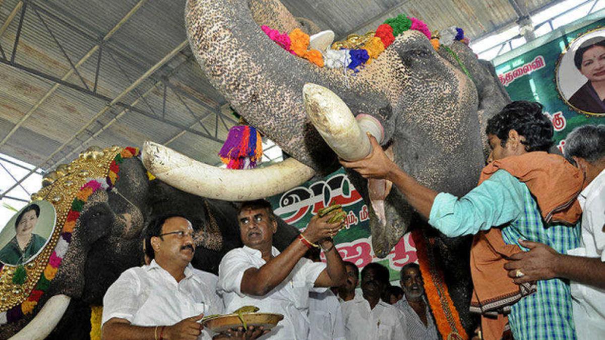 Gaja pooja for Jayalalithaa - The Hindu