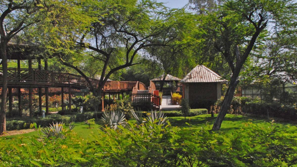 New eco-tourism park set up to boost tourism - The Hindu