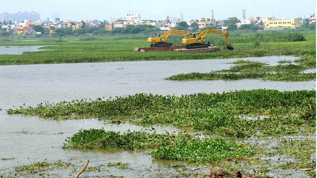 Madhavaram lake revival project picks up pace - The Hindu