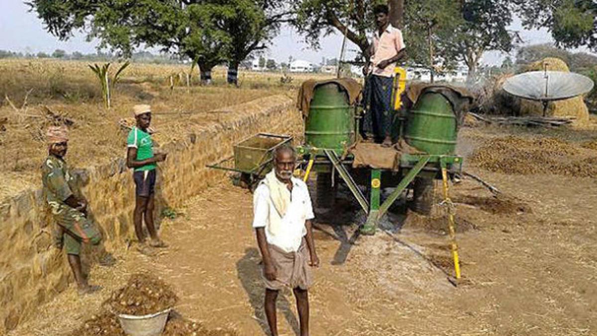 Farmers happy as turmeric harvest season begins - The Hindu