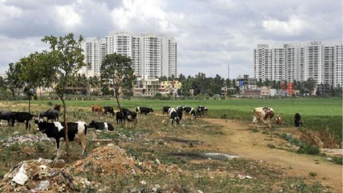 Bengaluru’s largest encroachment eviction drive begins at Sarakki Lake ...