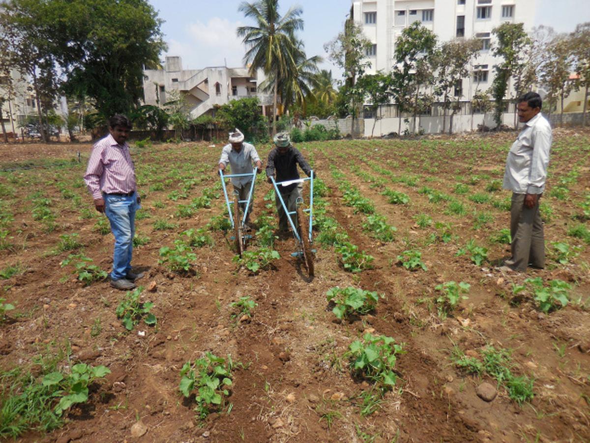 Handy cycle weeder for small farmers - The Hindu