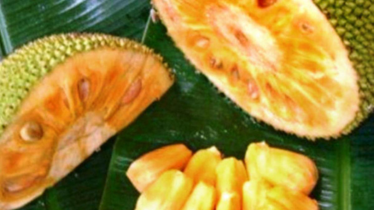 Aranmula to host national jackfruit festival in May - The Hindu