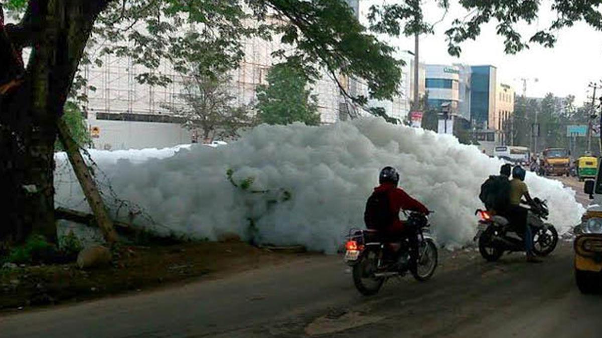 When the Varthur lake bubbled over - The Hindu