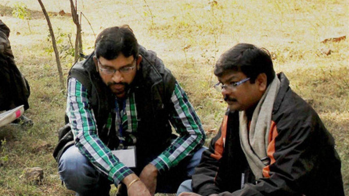 Jharkhand voters defy Maoists - The Hindu