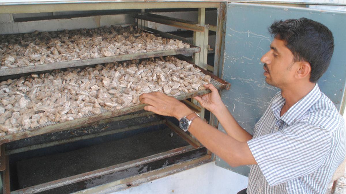 New faster, hygienic fish drying process - The Hindu