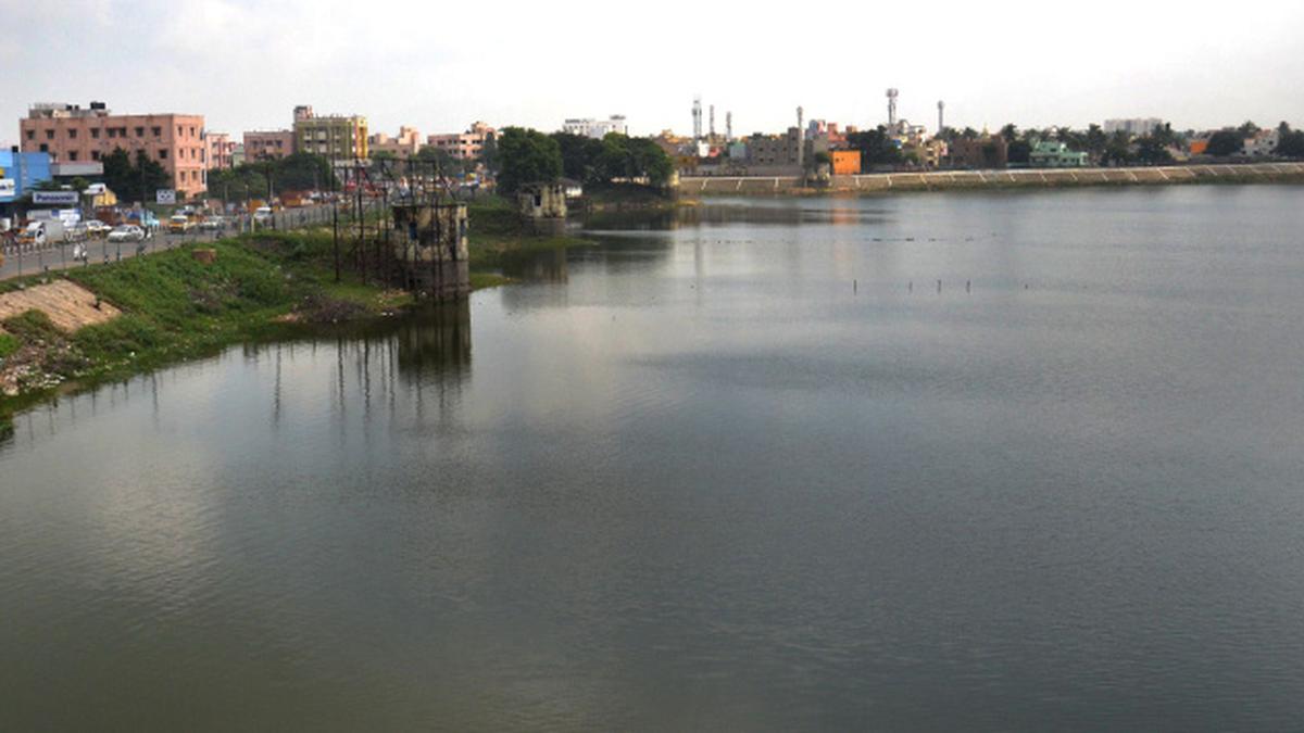 Porur lake rejuvenation still on hold - The Hindu