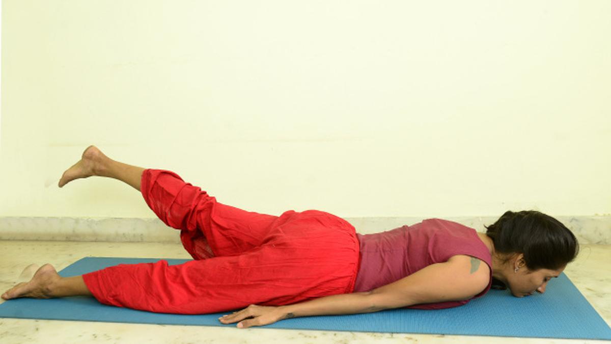 Yoga on the move: take the monthly pain away - The Hindu