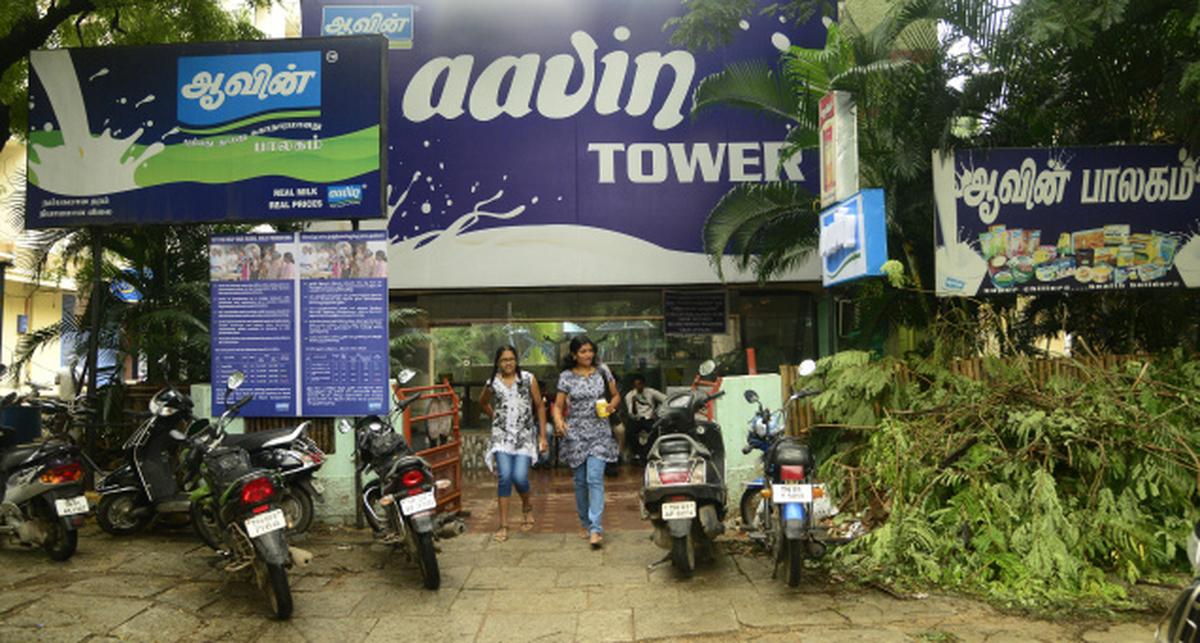 Aavin rebrands its icecream parlours - The Hindu